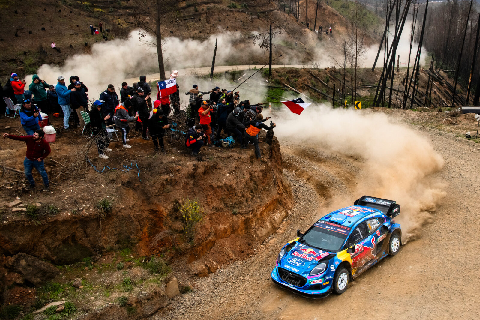 WRC oficializó su calendario 2024 con Chile incluido - +Motor Chile
